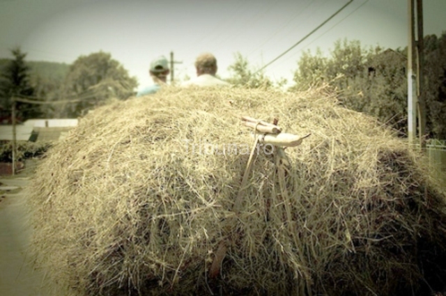 Un bărbat din Cajvana a ajuns în stare gravă la spital după ce i s-a ...